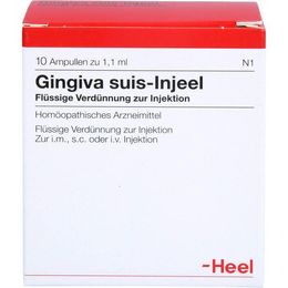 Heel Gingiva Suis Injeel Ampullen 10 St