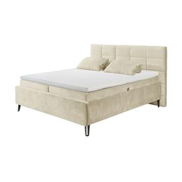 Boxbett Toddington creme Maße (cm): B: 200 H: 122 T: 221.0 Betten > Betten nach Art > Polsterbetten » DeinBett
