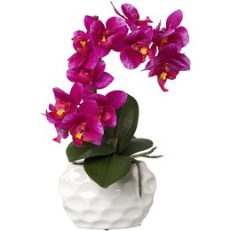 Kunstorchidee Creativ green, B:17cm H:33cm T:13cm, pink, Obermaterial: 95% Polyethylen, 5% Polyester, Kunstpflanzen, "Deko-Orchidee Phalaenopsis im