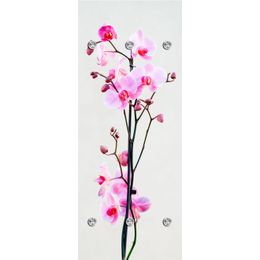Garderobenleiste queence, B:50cm H:120cm T:10cm, rosa, Acrylglas, Edelstahl, Garderobenhalter, "Orchidee", mit 6 Haken, 50 x 120 cm