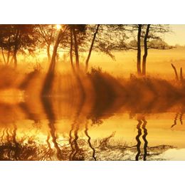 papermoon Fototapete "D&Auml;MMERUNG-REFLEXION VON B&Auml;UMEN UFER FLUSS SEE SONNE", B/L: 4mm x 2,6mm, Bahnen: 8 Stk. St., bunt, Schlafzimmer, Tapeten
