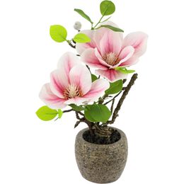 Kunstblume I.GE.A., B:14cm H:33cm L:16cm, rosa, Polyester, Balkon, Kunstpflanzen, "Magnolie im Topf", Künstlich wie echt Deko Blume Zimmerpflanze