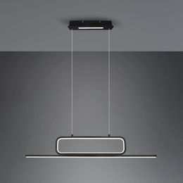 Trio Leuchten Aick LED Pendelleuchte mit Dimmer, 327210332,