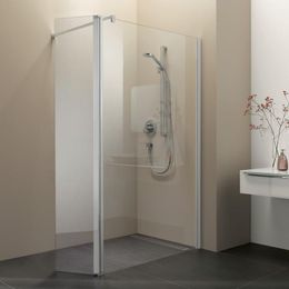 Koralle myDay Walk In, mit pendelbarem Element, VB02213020AA1, WWP R 130