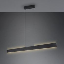 Trio Leuchten Galway Pendelleuchte, LED, 349710132,