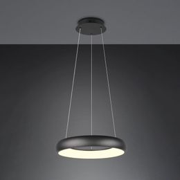 Trio Leuchten Cardona Pendelleuchte, LED, 349614532,