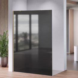rivea Dia aireado Walk In Duschwand H: 200 cm, BR0003BG+BR000010,