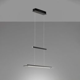Fischer und Honsel Fischer & Honsel Tenso LED Pendelleuchte mit CCT, 60992,