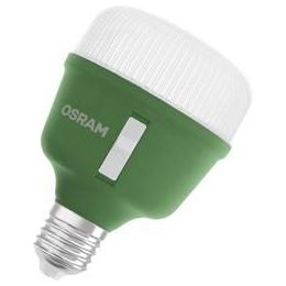 OSRAM HOMELIGHTING 4058075845800 Pflanzenlampe E27 20 W 1 St.