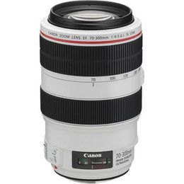 Objektiv Canon EF 70-300mm f/4-5.6 EF 70-300mm f/4-5.6