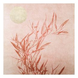 Bilderwelten Alu Dibond Outdoor Bild Natur rosa modern wetterfest - Goldene Sonne mit Rosa Bambus - Bambus Wohnzimmer Schlafzimmer
