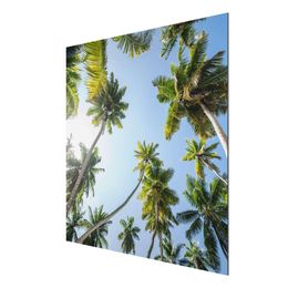 Bilderwelten Alu Dibond Outdoor Bild Natur gr&uuml;n Motiv wetterfest - Palmen Himmel - Himmel Wohnzimmer Schlafzimmer