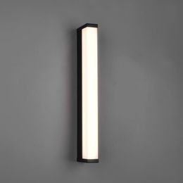 Trio Leuchten Fabio Wandleuchte, LED, 283814232,