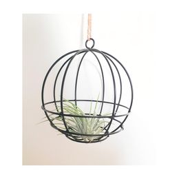 MeinVIPShop Hanging Ball mit Tillandsie Oxana | Gr.: onesize