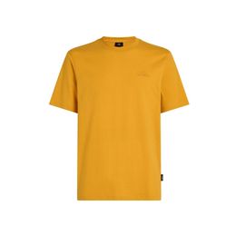 O`Neill Small Logo T-Shirt in Gelb | Gr.: XL