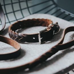 Hunter SOLID EDUCATION Special Set Halsband & F&uuml;hrleine | braun 55 / 13/200