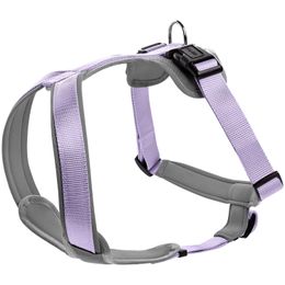 Hunter Geschirr Neopren lavendel/grau / S