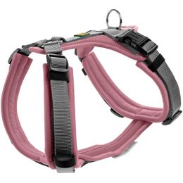 Hunter Geschirr Maldon Up altrosa/grau / XS-S