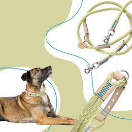 Hunter MALIA Set Halsband & Leine | mint 65 / 10/200