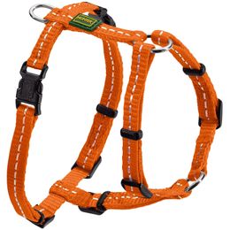 Hunter Geschirr Tripoli orange / XS-S