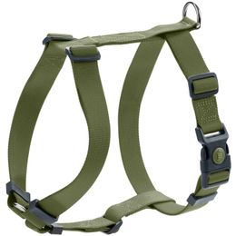 Hunter Geschirr London Vario Rapid oliv / XXS-XS