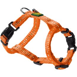 Hunter Geschirr Tripoli orange / XXS