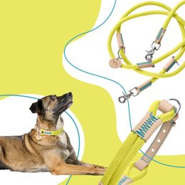 Hunter MALIA Set Halsband & Leine | limette 45