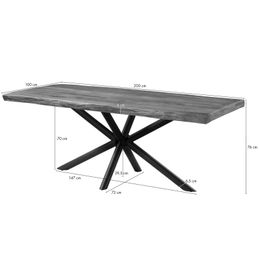 Baumtisch Mango 200x100x76 grau lackiert / Kreuzgestell anthrazit matt FREEFORM 5