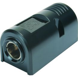 Aufbau-Steckdose, 16 A/6-24 V - 12 / 24 V Adapter & Kupplung von Procar