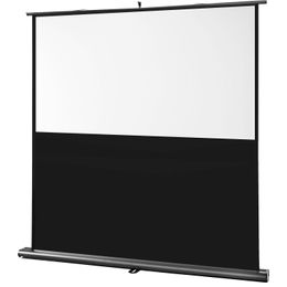 Celexon Ultramobil Professional Leinwand 160 x 100 cm - TV-Zubeh&ouml;r