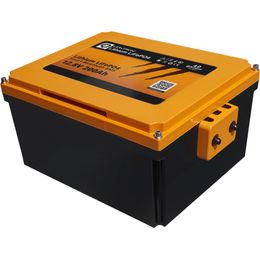 Liontron Wohnmobil-Untersitz-Batterie Arctic 12 V 200 Ah - Fahrzeug-Batterien