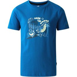 Dare2b Trailblazer II Kinder T-Shirt blau 152 - Kinder T-Shirts & -hemden von Dare 2b