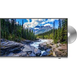 Megasat Royal Line Premium Camping TV mit DVD Player 32 Zoll - Fernseher