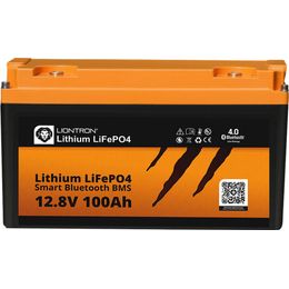 Liontron LiFePO4 Lithium Batterie 12 V 100 Ah all in One - Fahrzeug-Batterien