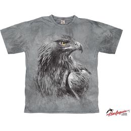 Harlequin Eagle Shadow T-Shirt dunkelgrau L - Herrenshirts, -hemden & -pullover