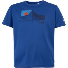 Regatta Alvarado IX Kinder T-Shirt blau 164 - Kinder T-Shirts & -hemden