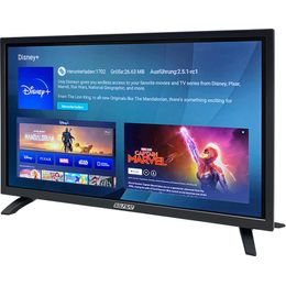 Selfsat Smart Camp Camping Fernseher 22 Zoll Frame - Fernseher
