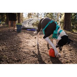 Ruffwear Front Range Halsband 28 - 36 cm aurora teal - Hundegeschirr und Leinen
