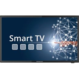 Megasat Camping TV Royal Line IV 22" Smart - Fernseher