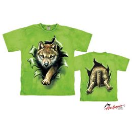 Harlequin Wolf Pup Rip Through Kinder T-Shirt gr&uuml;n 152 - Kinder T-Shirts & -hemden