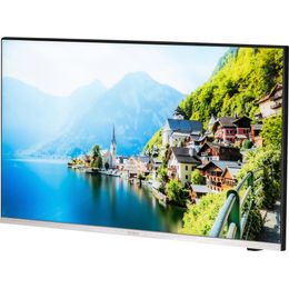 Reflexion Smart LED-Smart TV 24 Zoll (webOS) inkl. DVD-Player, DVB-S2/C/T2 HD Tuner LDDX24iBT - Fernseher