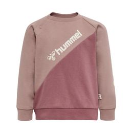 Hummel Sweatshirt Raglanärmel Hmlsportive Jungen in DECO ROSE | Gr.: 56