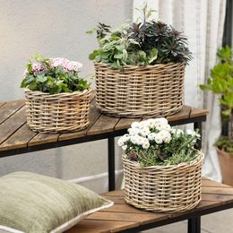 Pflanzkorb "Rattan", 3er Set