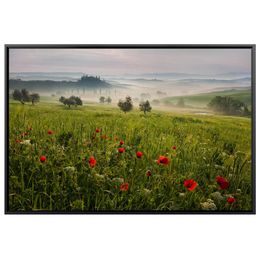 Leinwandbild Natur & Landschaft Toskana Fr&uuml;hling