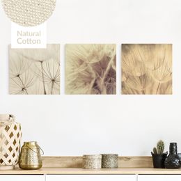 Bilderwelten Mehrteiliges Wandbild Blumenbild - Wohnzimmer Schlafzimmer - XXL Leinwandbild Blumen - Quadrat Pusteblumen und Gr&auml;ser - Bildegalerie Blumenbilder
