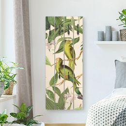 Bilderwelten Wandgarderobe gr&uuml;n Tiere Vintage Flurgarderobe - Vintage Collage - Papageien im Dschungel - Pflanzen Garderobenpaneel Flur