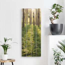 Bilderwelten Wandgarderobe Holzpalette Sonnenstrahlen in gr&uuml;nem Wald
