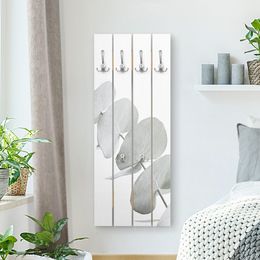 Bilderwelten Wandgarderobe Eukalyptuszweig im Wei&szlig;en Licht
