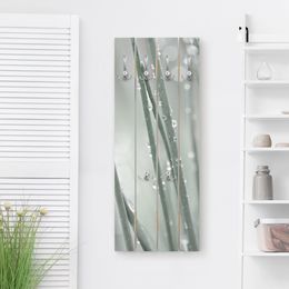 Bilderwelten Wandgarderobe einzigartig Blumen Landhaus Flurgarderobe - Makroaufnahme Wasserperlen am Gras - Gr&auml;ser Garderobenpaneel Flur