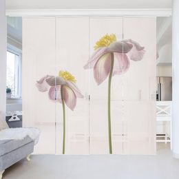 Bilderwelten Schiebegardine Set Rosa Anemonenblüten